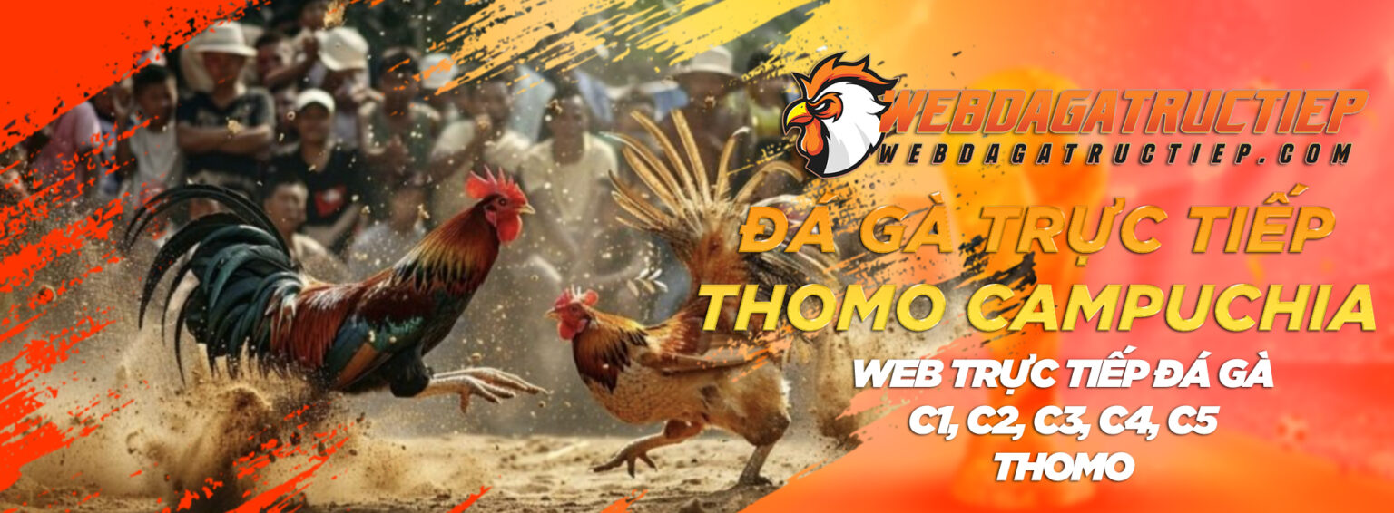 Đá Gà Trực Tiếp [CPC1 CPC2 CPC3 CPC4] Thomo Campuchia